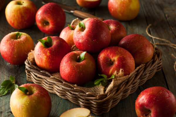 The Aztec Fuji Apple - Minneopa Orchards
