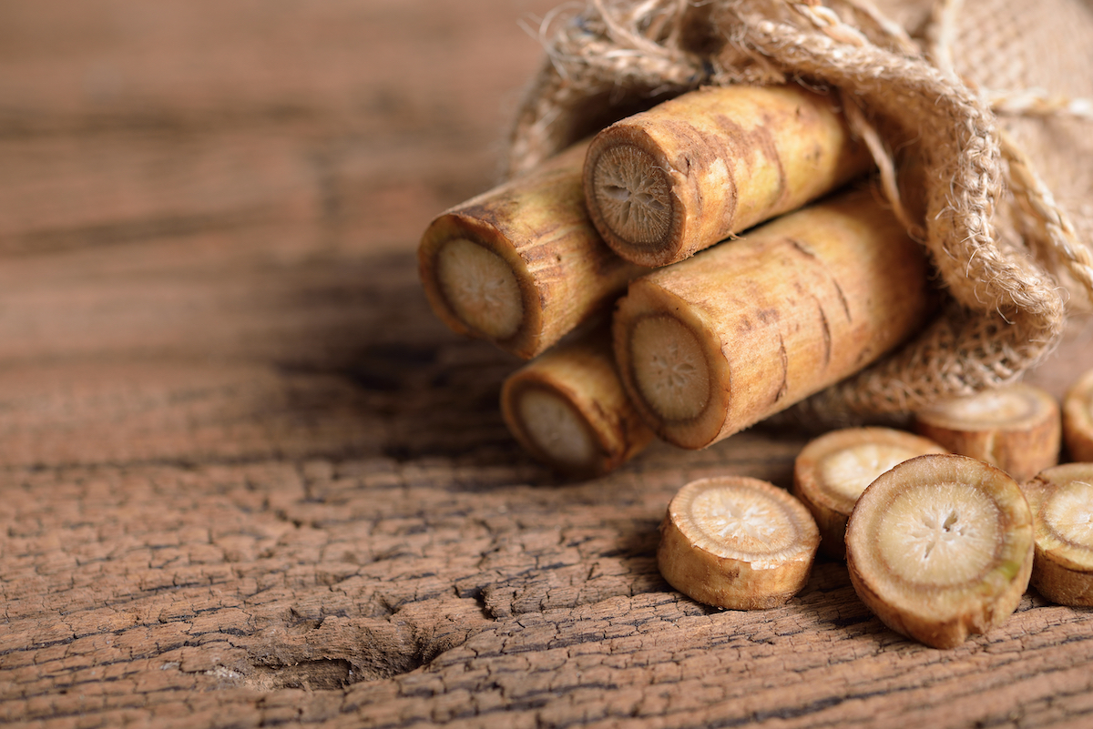 All About Burdock - Minneopa Orchards