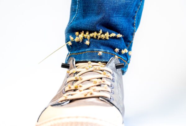 All About Sandbur - Minneopa Orchards