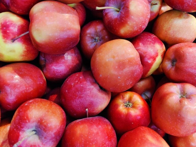 How To Store Apples Long Term: Expert Tips for Preservation - Minneopa ...
