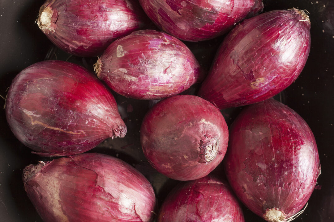 All About Spanish Onions - Minneopa Orchards