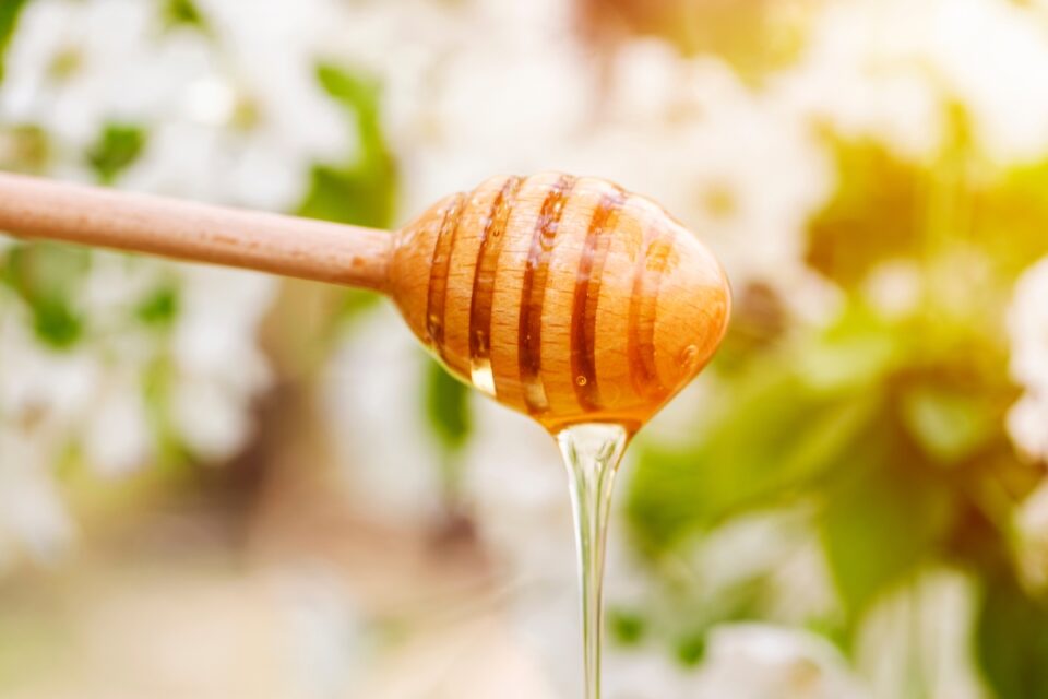 What Is Comb Honey and 7 Ways to Use It - Minneopa Orchards