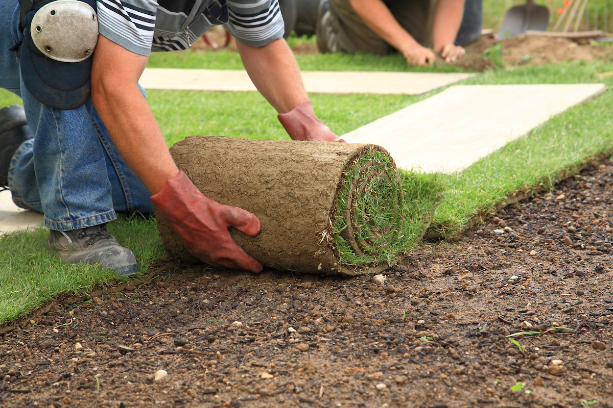 Master Your Swing: Guide To Installing A Backyard Putting Green ...