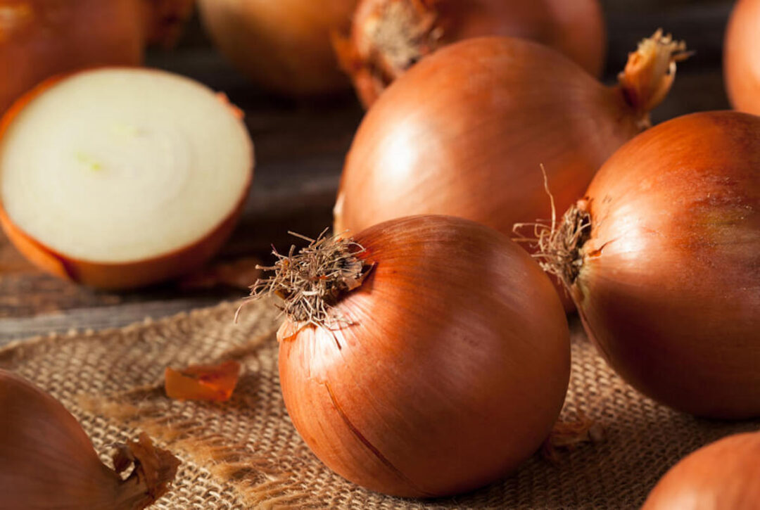 All About Yellow Onions - Minneopa Orchards