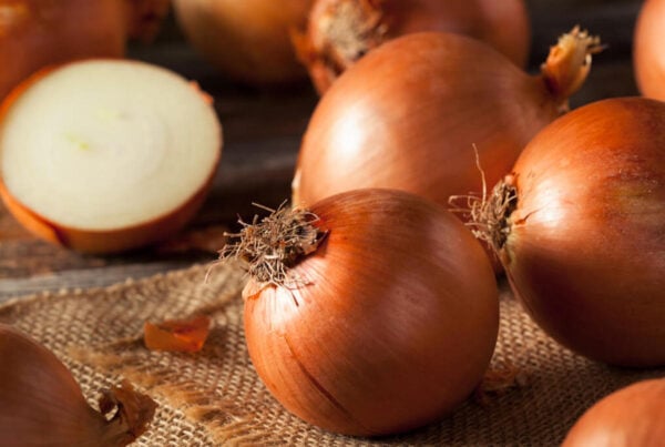 All About Yellow Onions - Minneopa Orchards