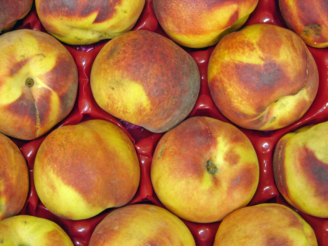 Preserve the Juiciness: Step-By-Step Guide on How to Freeze Peaches ...