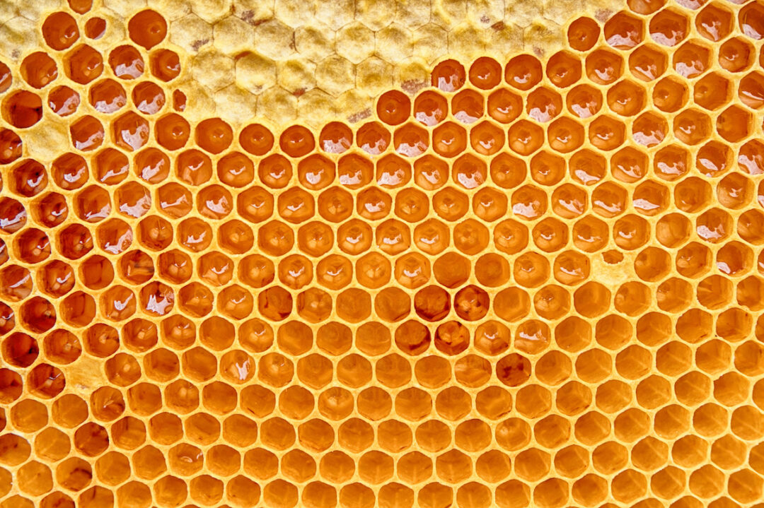 All About Honey Comb: Eating, Sustainability, Storing, and More ...