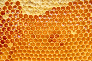 All About Honey Comb: Eating, Sustainability, Storing, and More ...