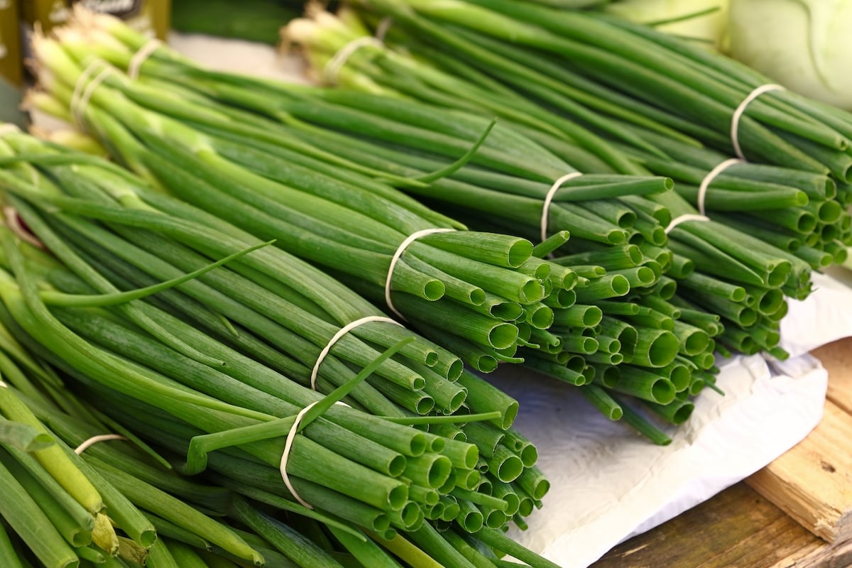 All About Green Onions - Minneopa Orchards