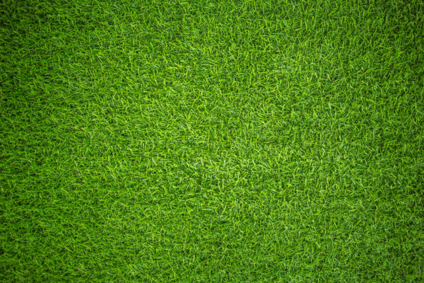 Guide to Installing Artificial Backyard Turf: Step-by-Step Instructions ...