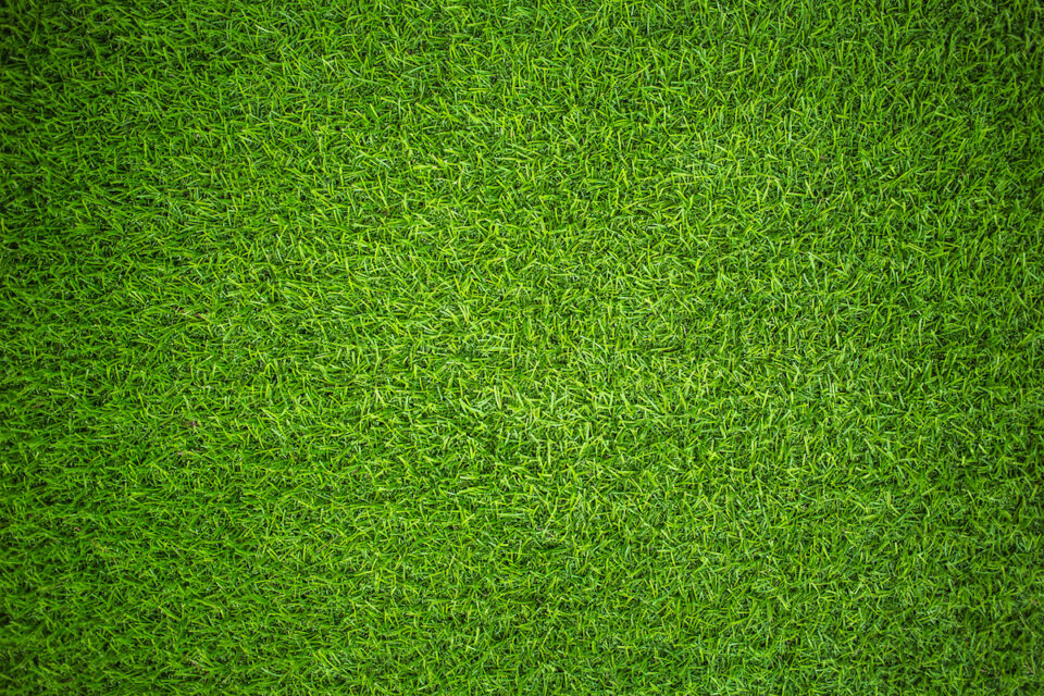 Guide to Installing Artificial Backyard Turf: Step-by-Step Instructions ...