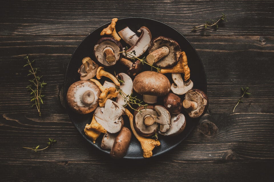 The Chanterelle Mushroom - Minneopa Orchards