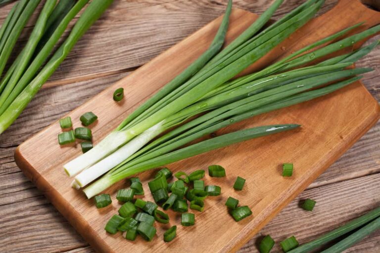 All About Spring Onions - Minneopa Orchards