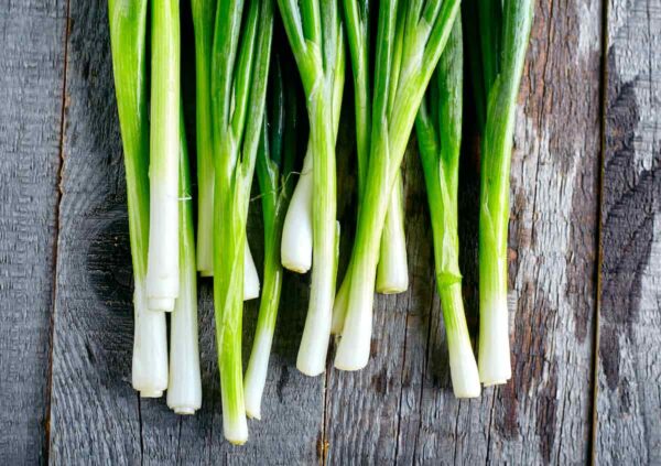 How to Plant Green Onions - Minneopa Orchards