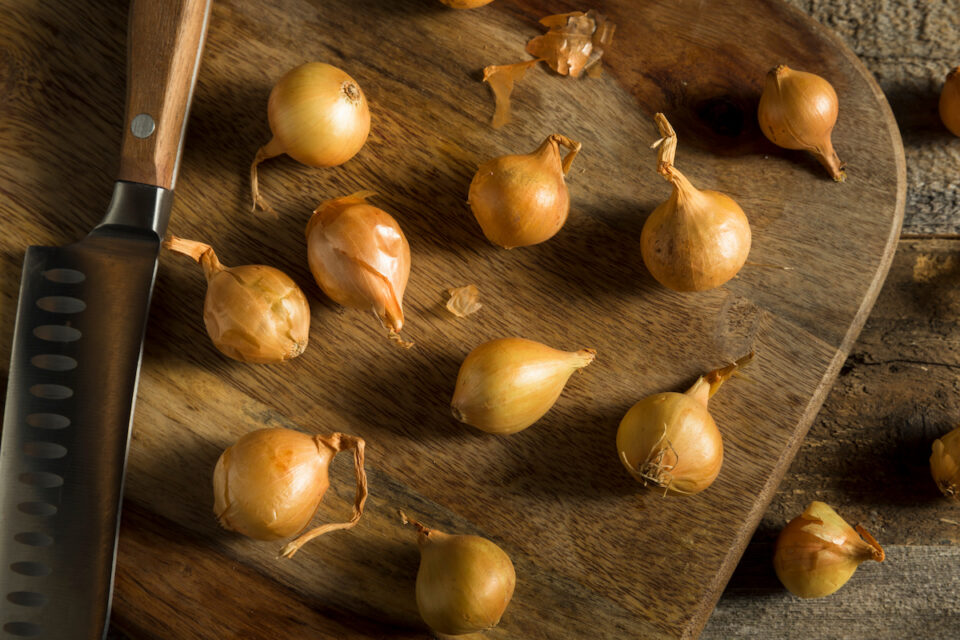 All About Pearl Onions - Minneopa Orchards