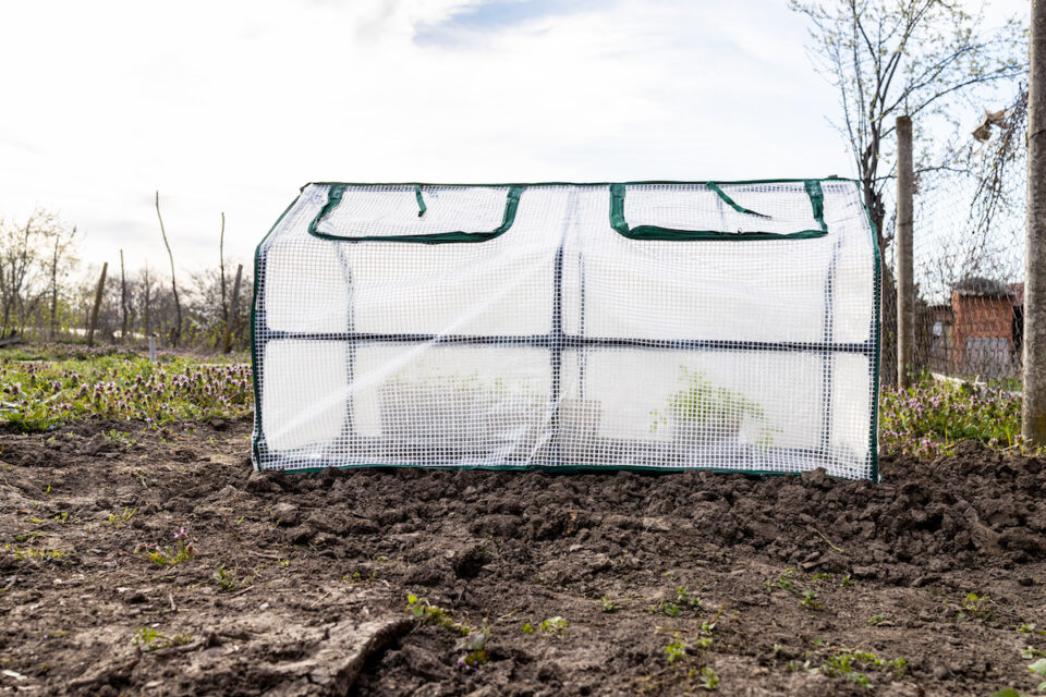Gardening On The Go: The Best Portable Greenhouses For Your Plant Needs ...