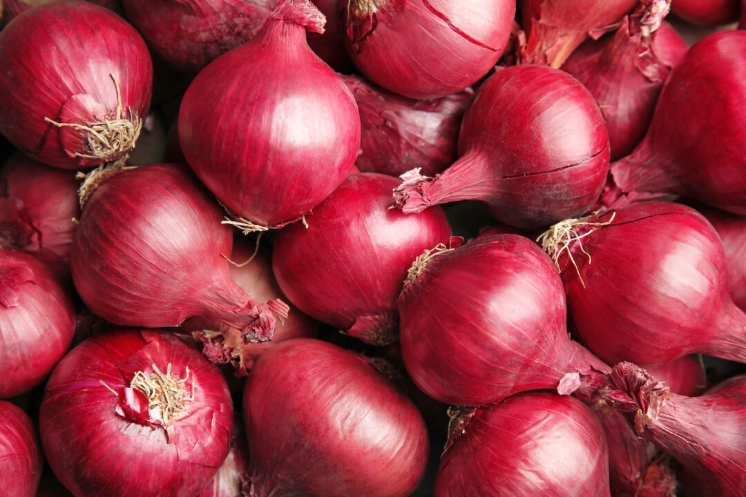 All About Red Onions - Minneopa Orchards