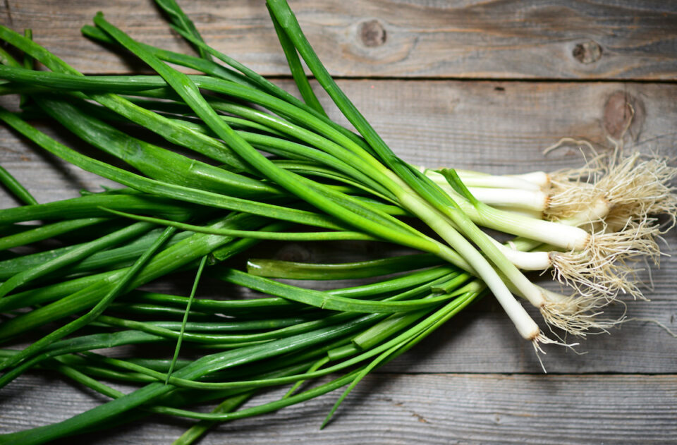 All About Spring Onions - Minneopa Orchards