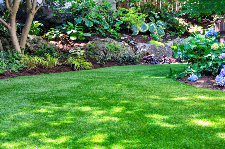 Guide to Installing Artificial Backyard Turf: Step-by-Step Instructions ...
