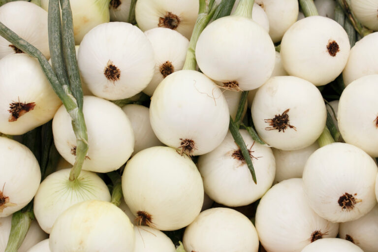 All About Walla Walla Onions - Minneopa Orchards