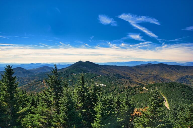 A Guide to North Carolina Fall Foliage Viewing Spots - Minneopa Orchards