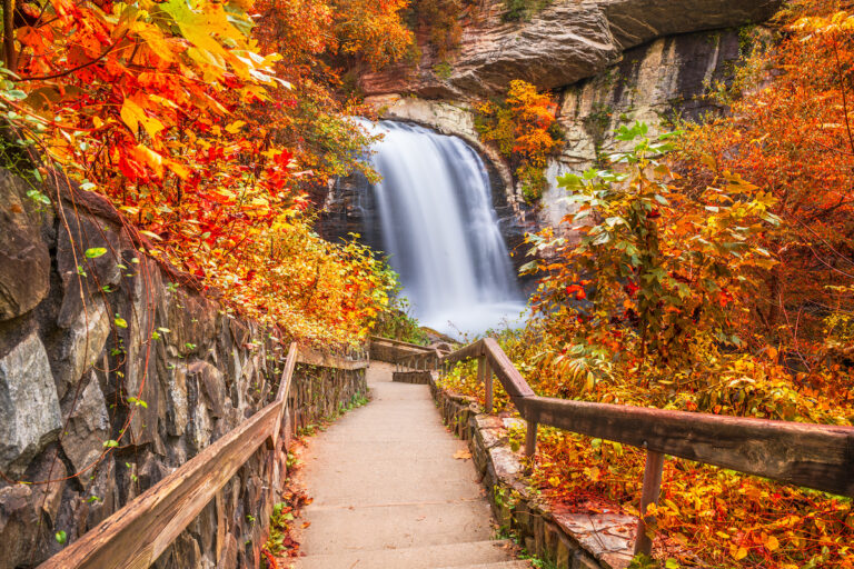 A Guide to North Carolina Fall Foliage Viewing Spots - Minneopa Orchards