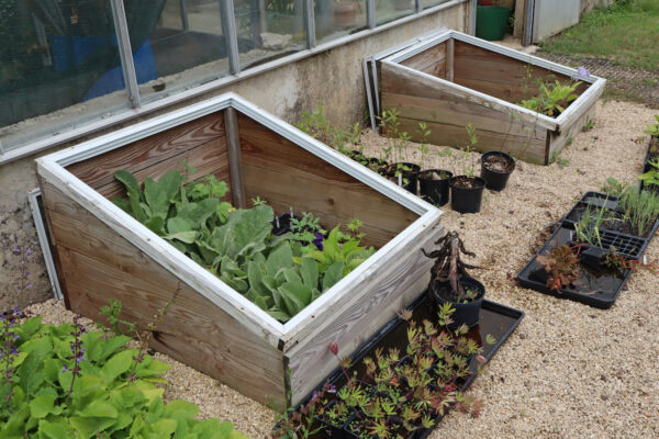 The Beginner's Guide to Cold Frame Gardening - Minneopa Orchards