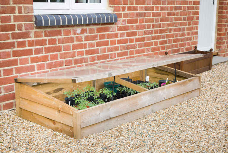 The Beginner's Guide to Cold Frame Gardening - Minneopa Orchards