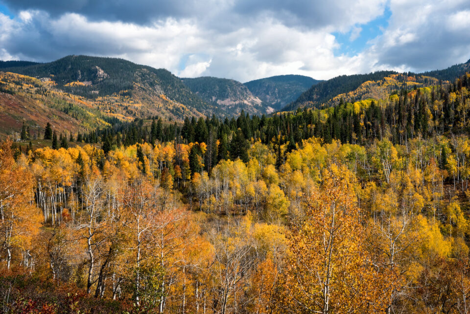 Your Ultimate Guide to Colorado Fall Foliage - Minneopa Orchards