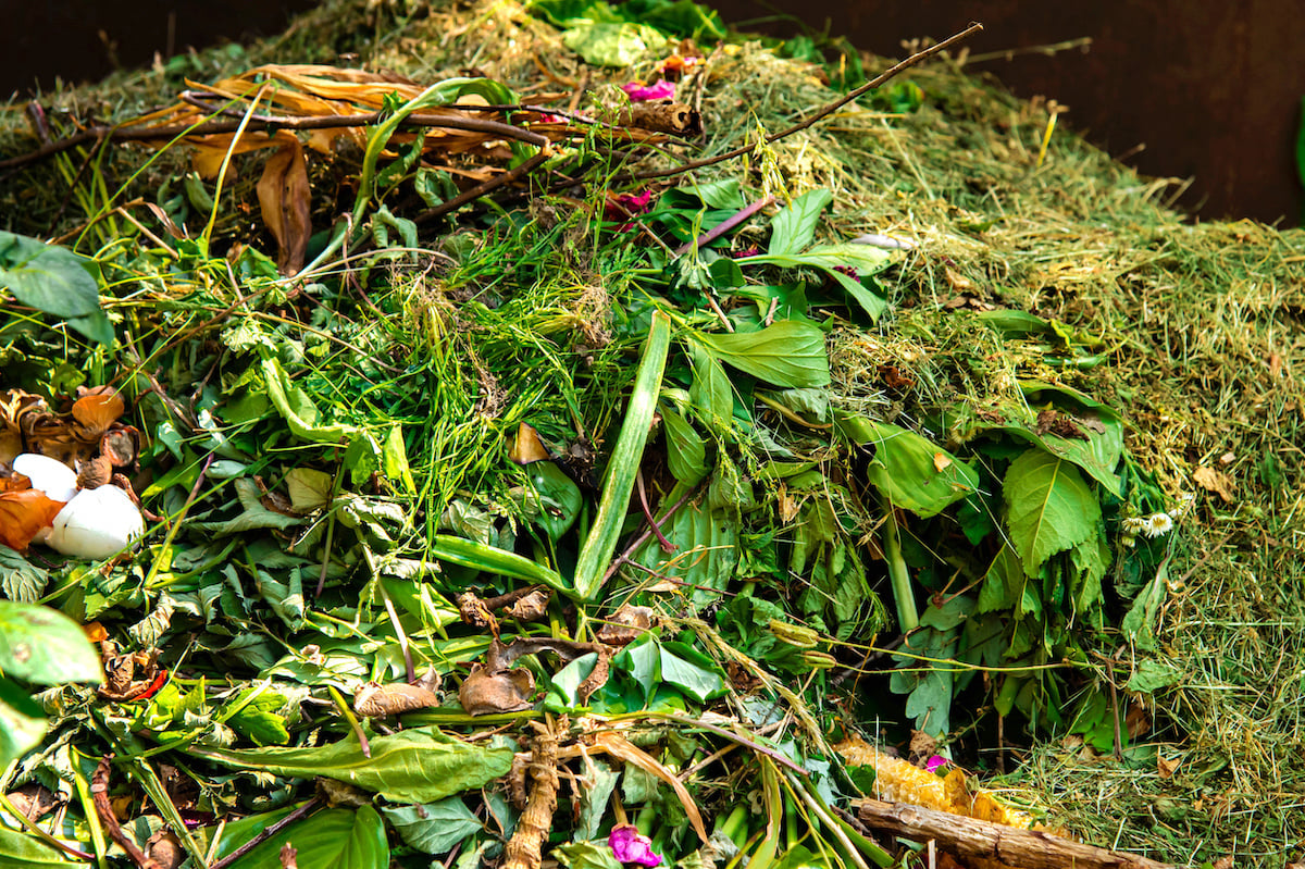 The Ultimate Guide to Composting Leaves This Fall - Minneopa Orchards
