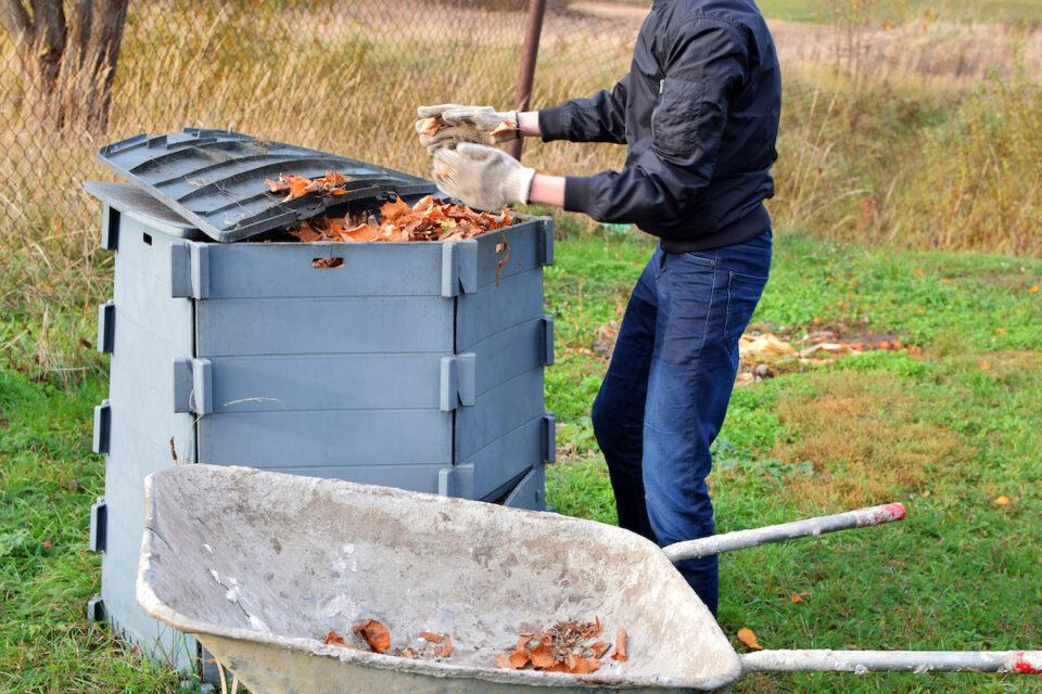 The Ultimate Guide to Composting Leaves This Fall - Minneopa Orchards