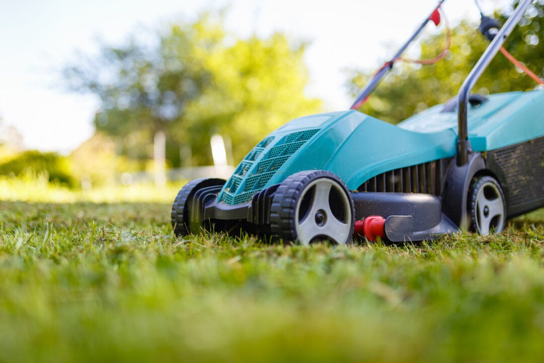 The Best Electric Mower for Your Lawn Care Needs - Minneopa Orchards