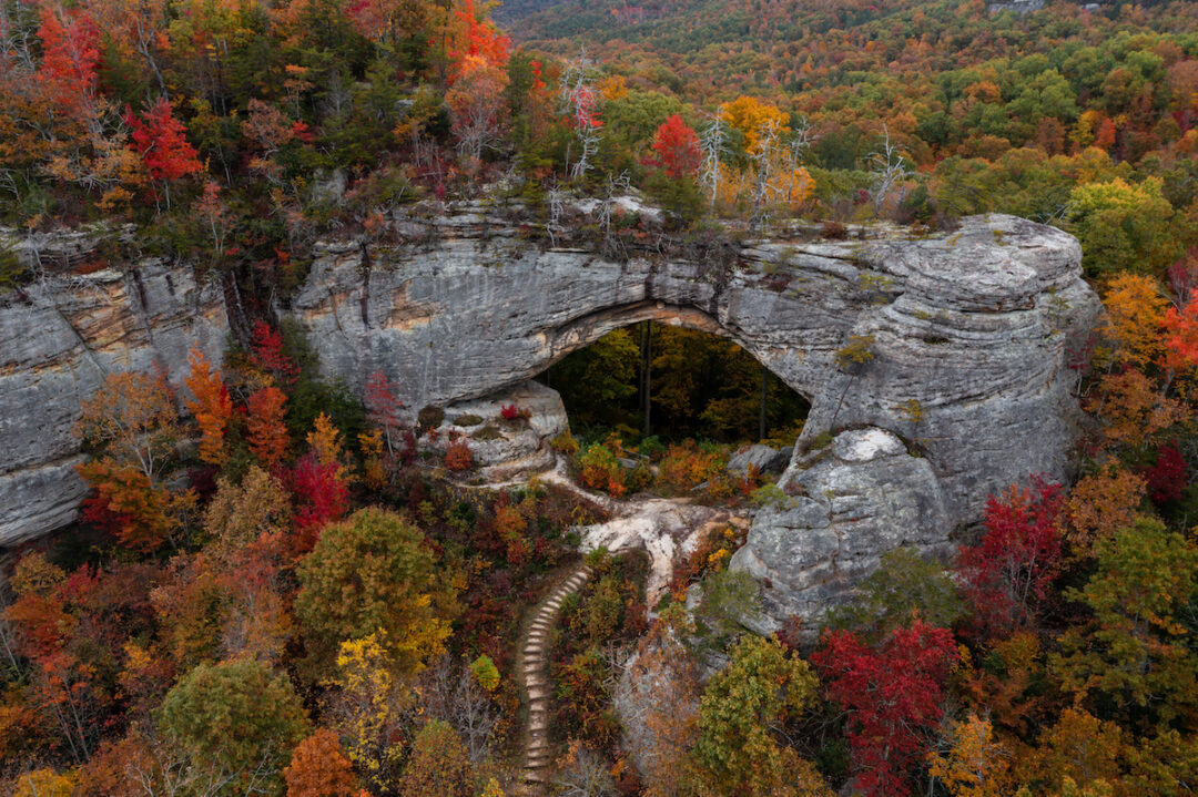 The Best Spots to Experience Kentucky Fall Foliage - Minneopa Orchards