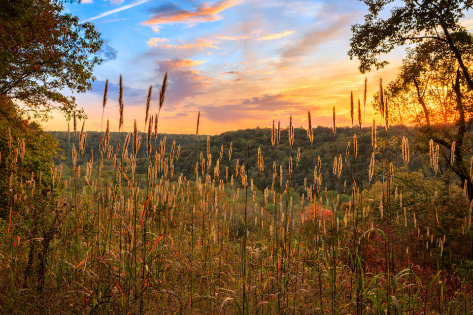 The Best Spots to Experience Kentucky Fall Foliage - Minneopa Orchards