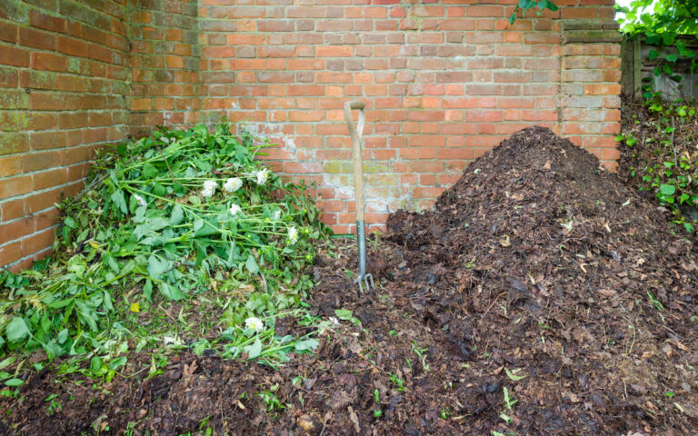 How to Make Leaf Mold Compost from Autumn Leaves - Minneopa Orchards
