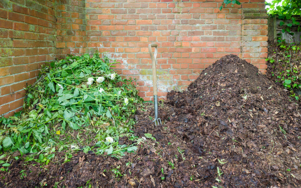 How to Make Leaf Mold Compost from Autumn Leaves - Minneopa Orchards