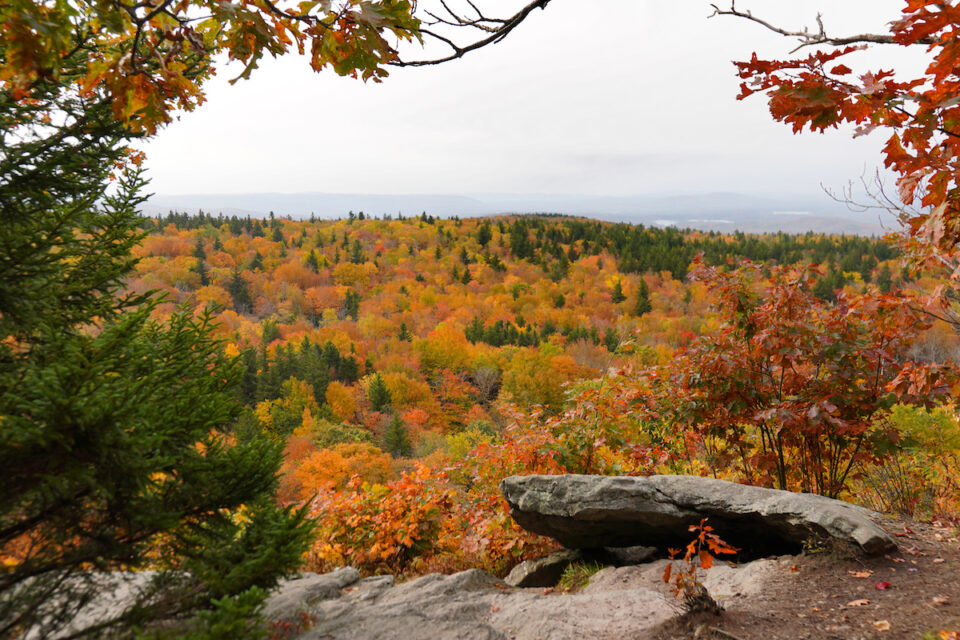 A Tour of Massachusetts Fall Foliage: Where to Go - Minneopa Orchards