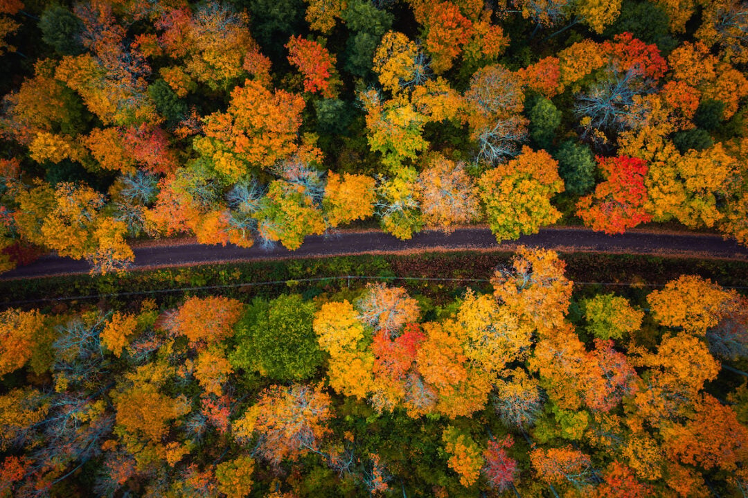 Where to Find the Most Spectacular Michigan Fall Foliage - Minneopa ...