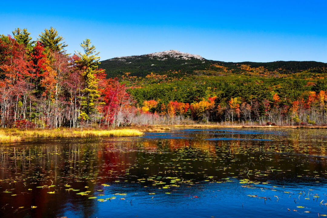 Exploring New Hampshire Fall Foliage: A Guide - Minneopa Orchards