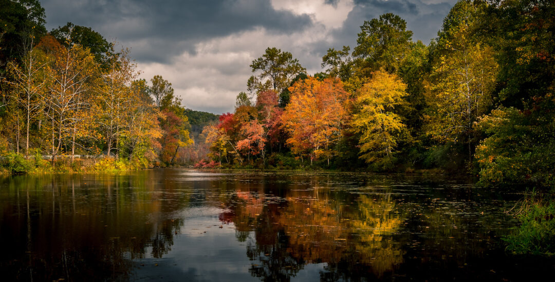 New Jersey Fall Foliage: A Road Trip Guide - Minneopa Orchards
