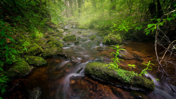 New Jersey Fall Foliage: A Road Trip Guide - Minneopa Orchards