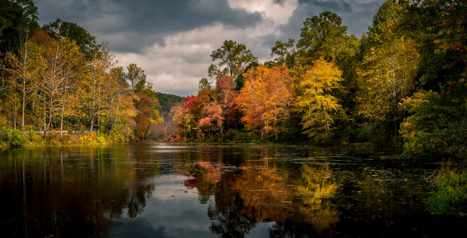 New Jersey Fall Foliage: A Road Trip Guide - Minneopa Orchards