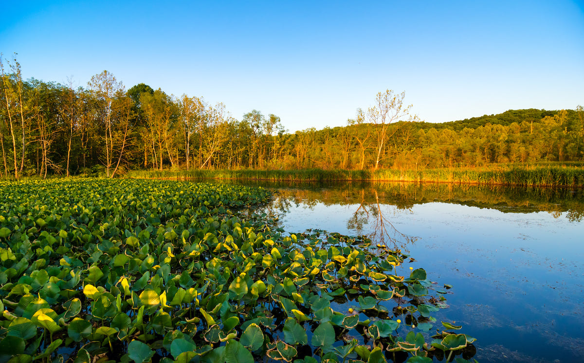 Best Places to Experience Ohio Fall Foliage - Minneopa Orchards