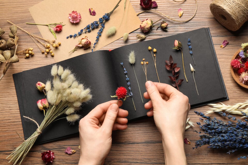 Preserving Flowers for Decor and More - Minneopa Orchards