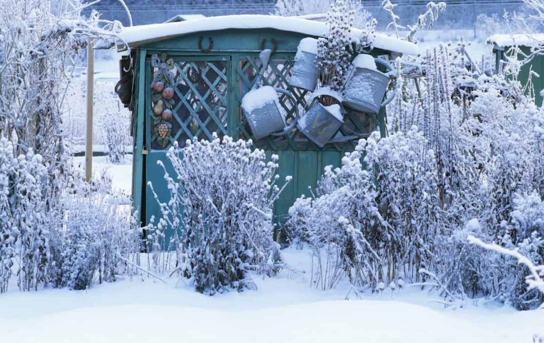 10 Winter Gardening Ideas You Do During the Cold Season - Minneopa Orchards