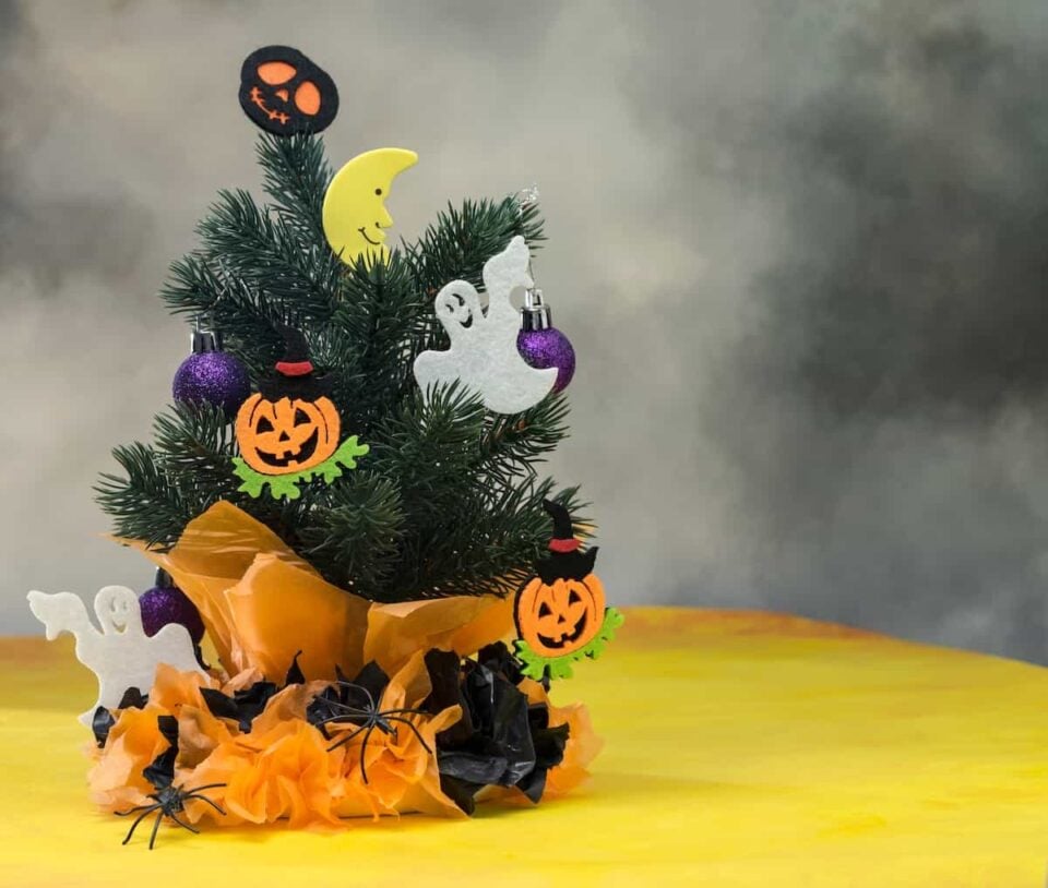 13 Halloween Trees to Bring the Spooky Season Inside - Minneopa Orchards