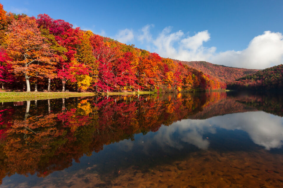 Virginia Fall Foliage: The Top Places to Visit - Minneopa Orchards