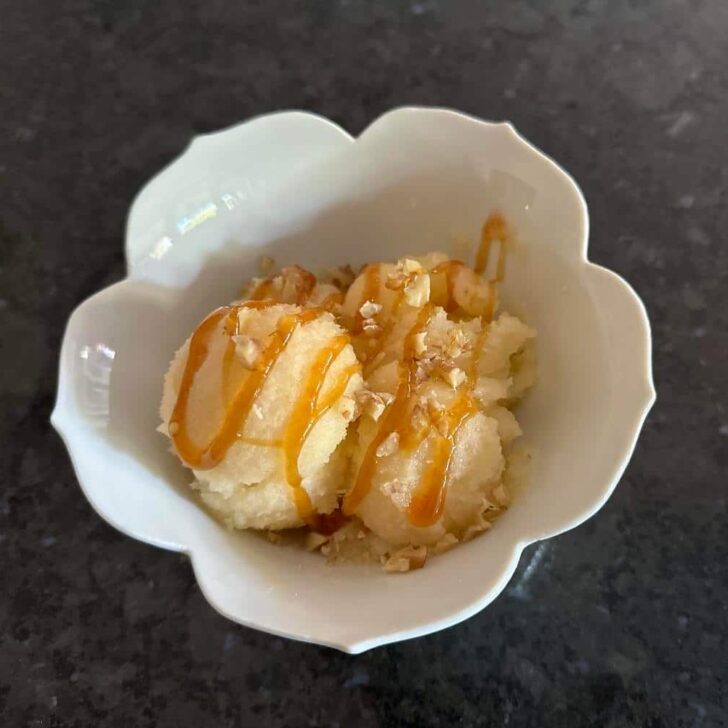 How to Make Refreshing Apple Sorbet at Home - Minneopa Orchards