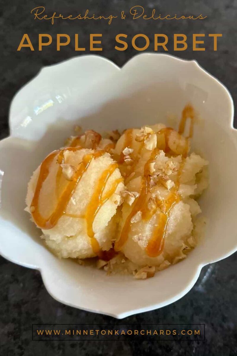 How to Make Refreshing Apple Sorbet at Home - Minneopa Orchards