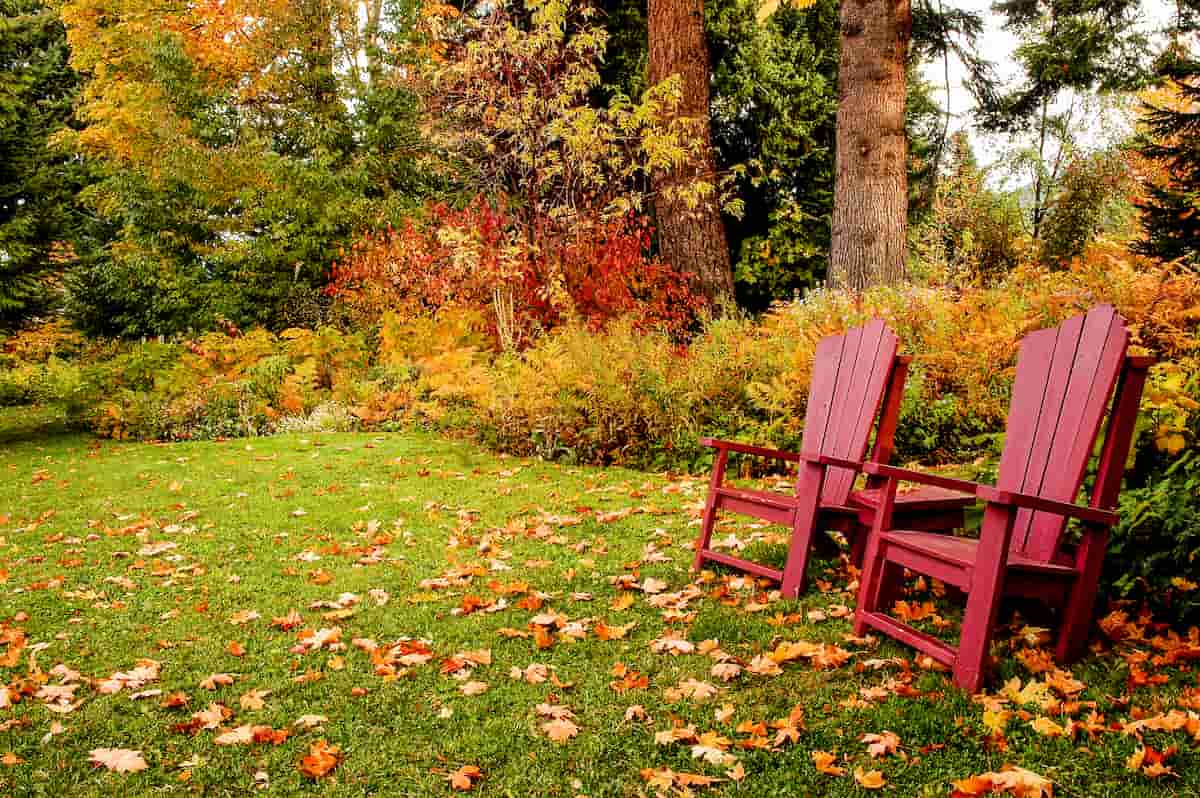 Fall Lawn Care Tips for a Lush Spring Yard - Minneopa Orchards